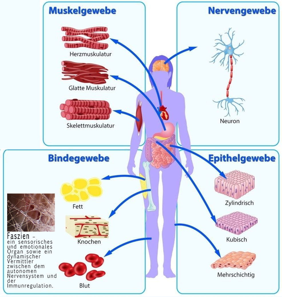Diagnosis – Joshua Snow